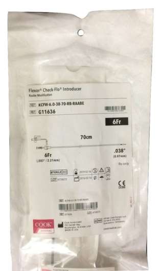 Check-Flo Performer Introducer Raabe Modification KCFW-6.0-38-70-RB ...